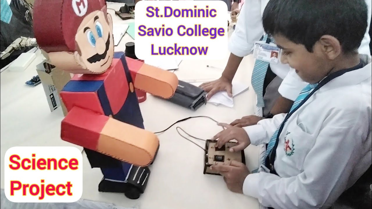 St. Dominic Savio College Lucknow, (Art, Craft & Science Exhibition ...