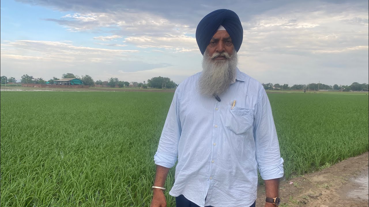 Gill Farm #farming #kheti #gillfarm - YouTube
