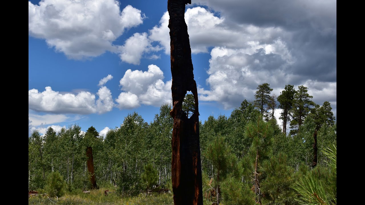 Grand Canyon - North Rim Adventure, Day 4: Ken Patrick Trail to Old ...