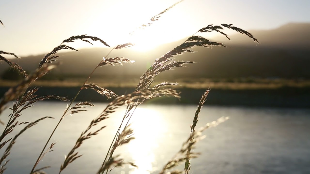 Beautiful Nature Sounds Breeze - YouTube