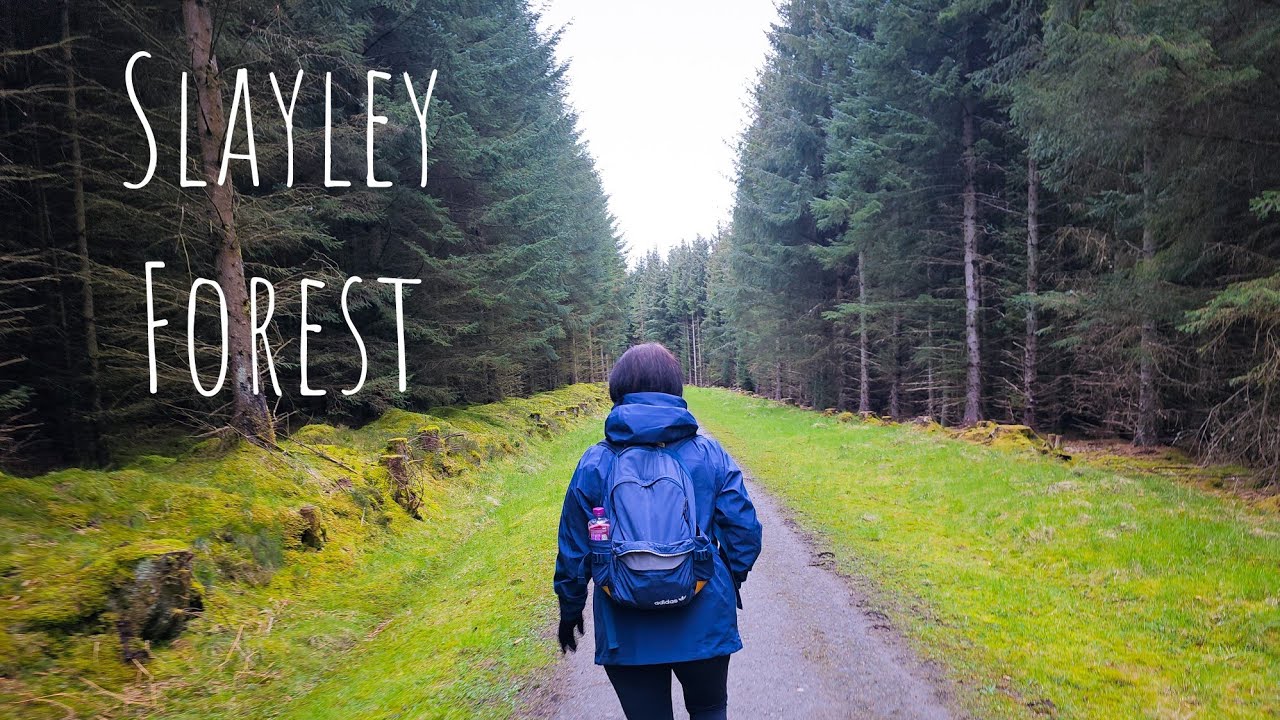 "A Pleasant Stroll Around Slayley Forest" Series 3 (Episode 11) 29.04. ...