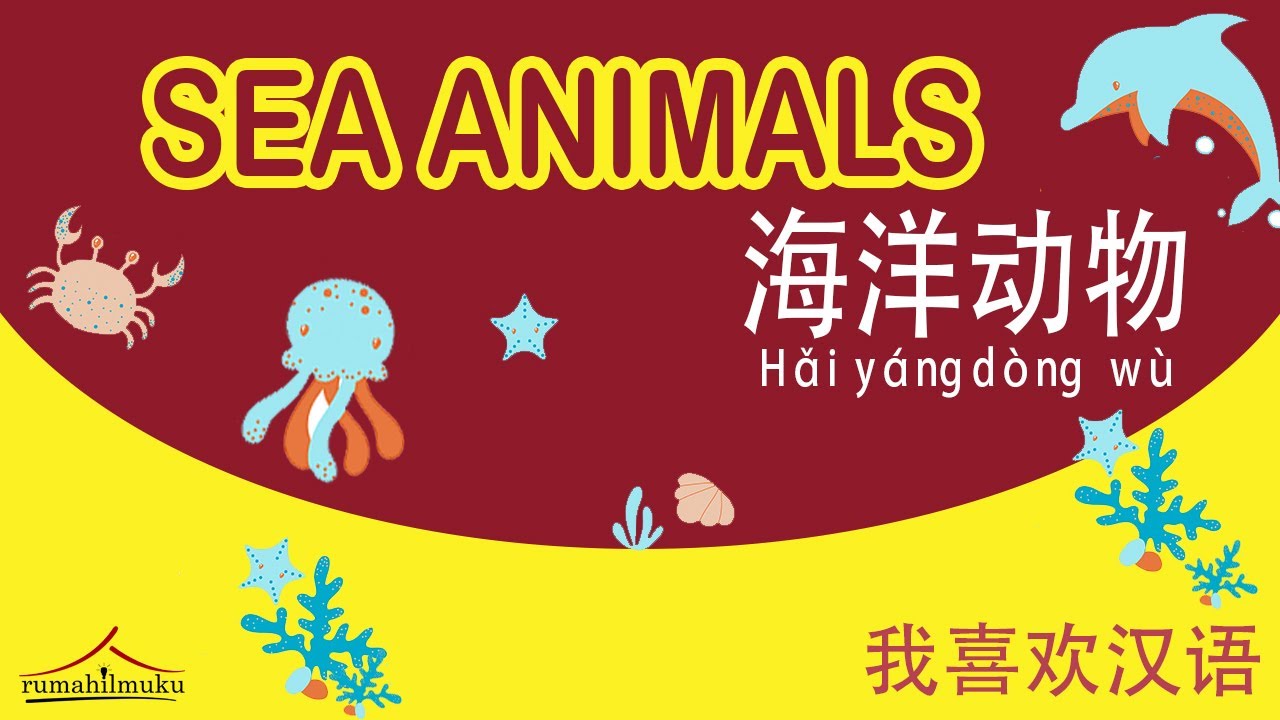 Flashcard Sea Animals in Mandarin | Belajar Nama Hewan Laut Dalam ...