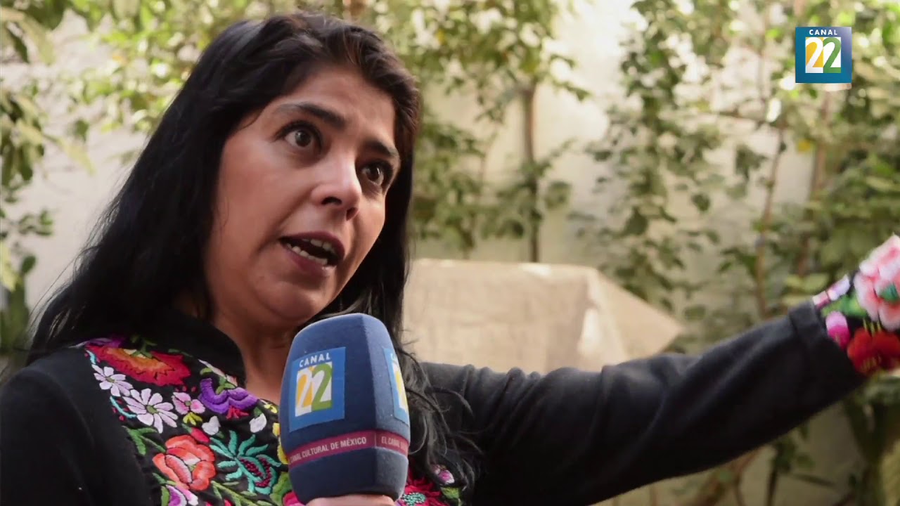 Frida Guerrera lucha contra la violencia en nuevas plataformas - YouTube