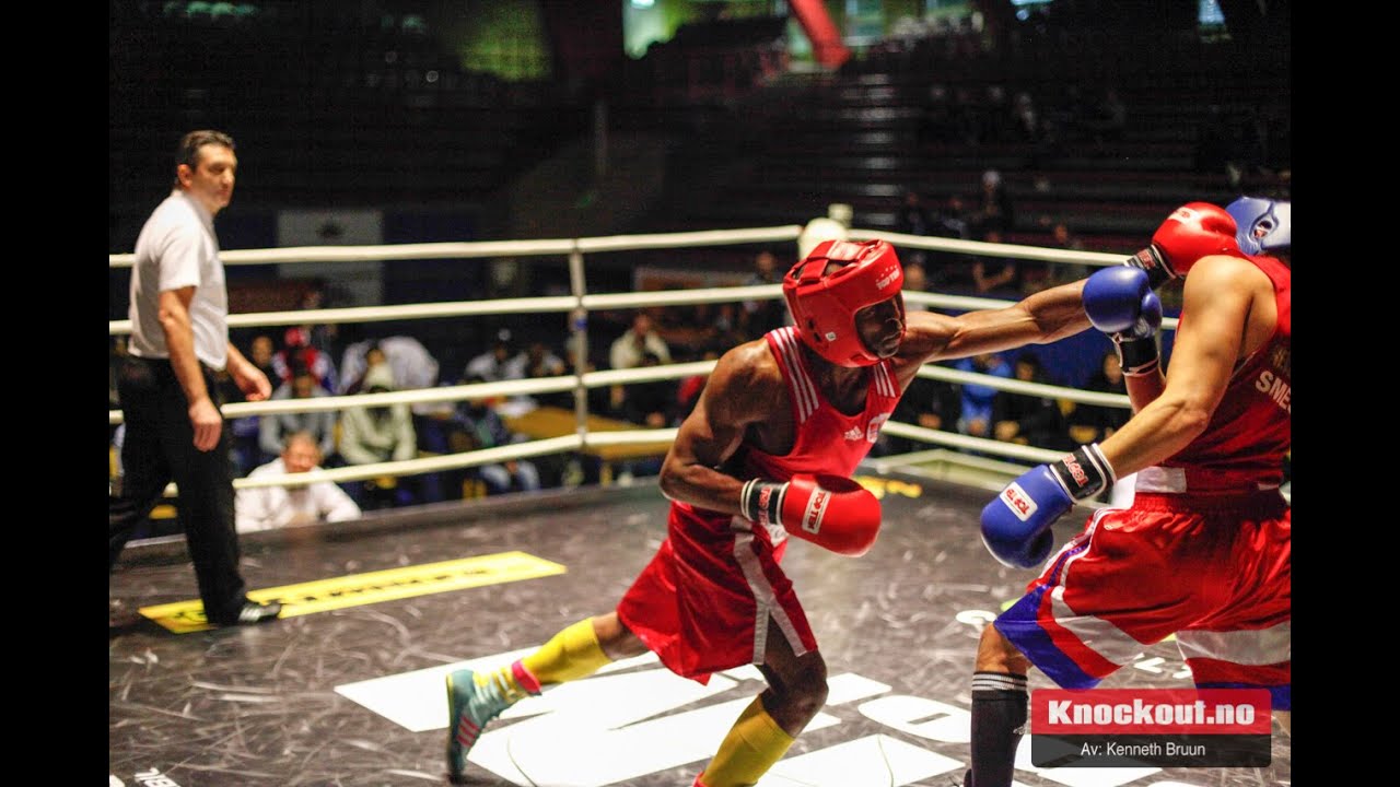 Live boxing - King of the Ring day 2 - Ring B - YouTube