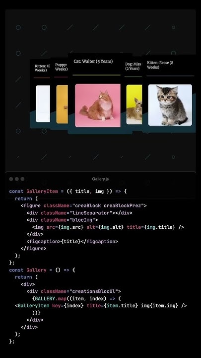 #coding cat carousel image with #javascript and #html #css - YouTube