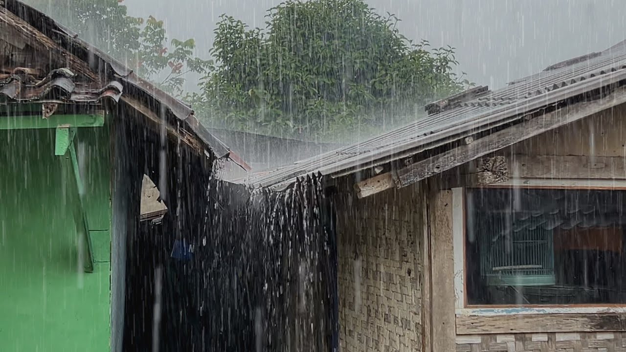 This Rain Is Perfect for Sleeping | Heavy Rain and Lightning Strike My ...