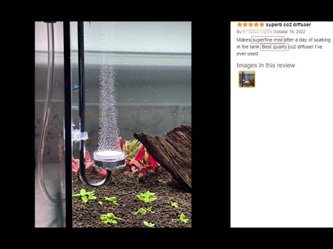 Clscea CO2 Diffuser--buyer shows - YouTube