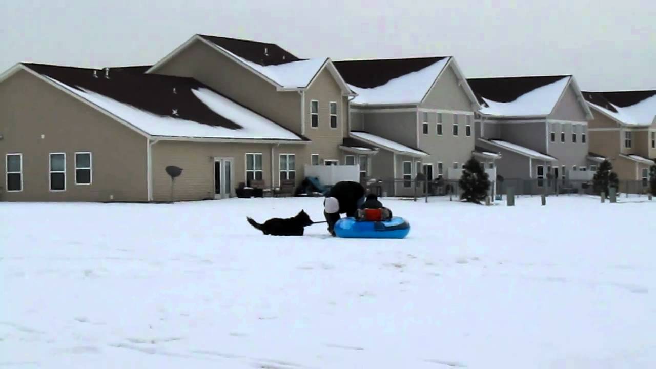 Snow Day in Kansas - YouTube