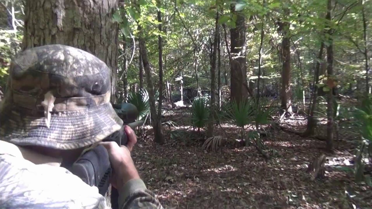 Horn Swamp Hog Hunting - Greatest Hits Volume One - YouTube
