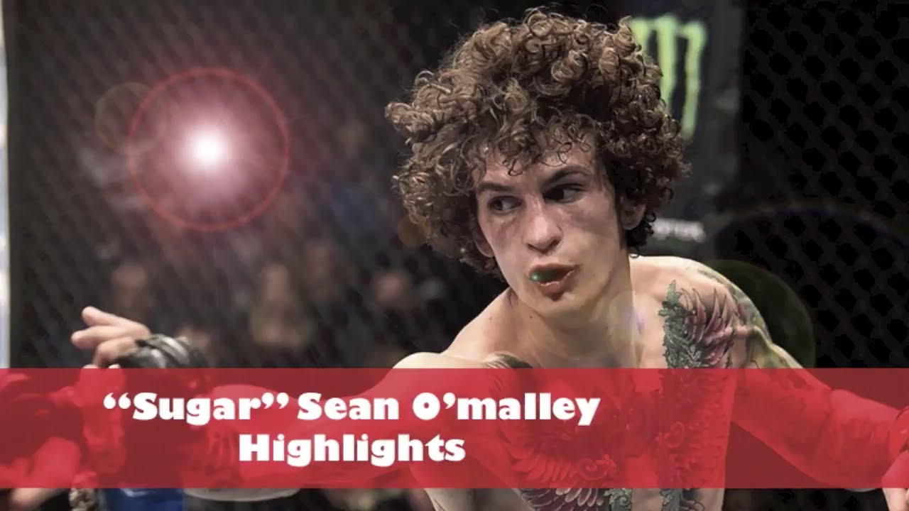 Sugar Sean O'Malley Highlights - YouTube