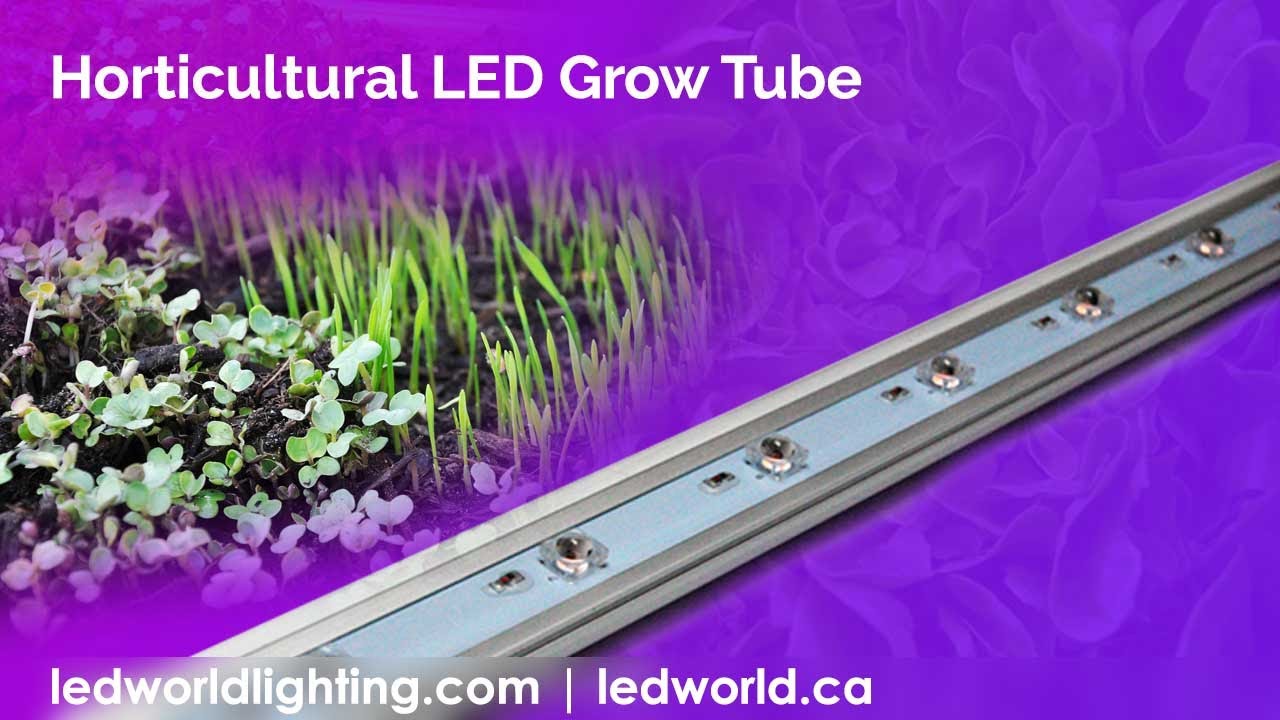 Horticultural LED Grow Tube - YouTube