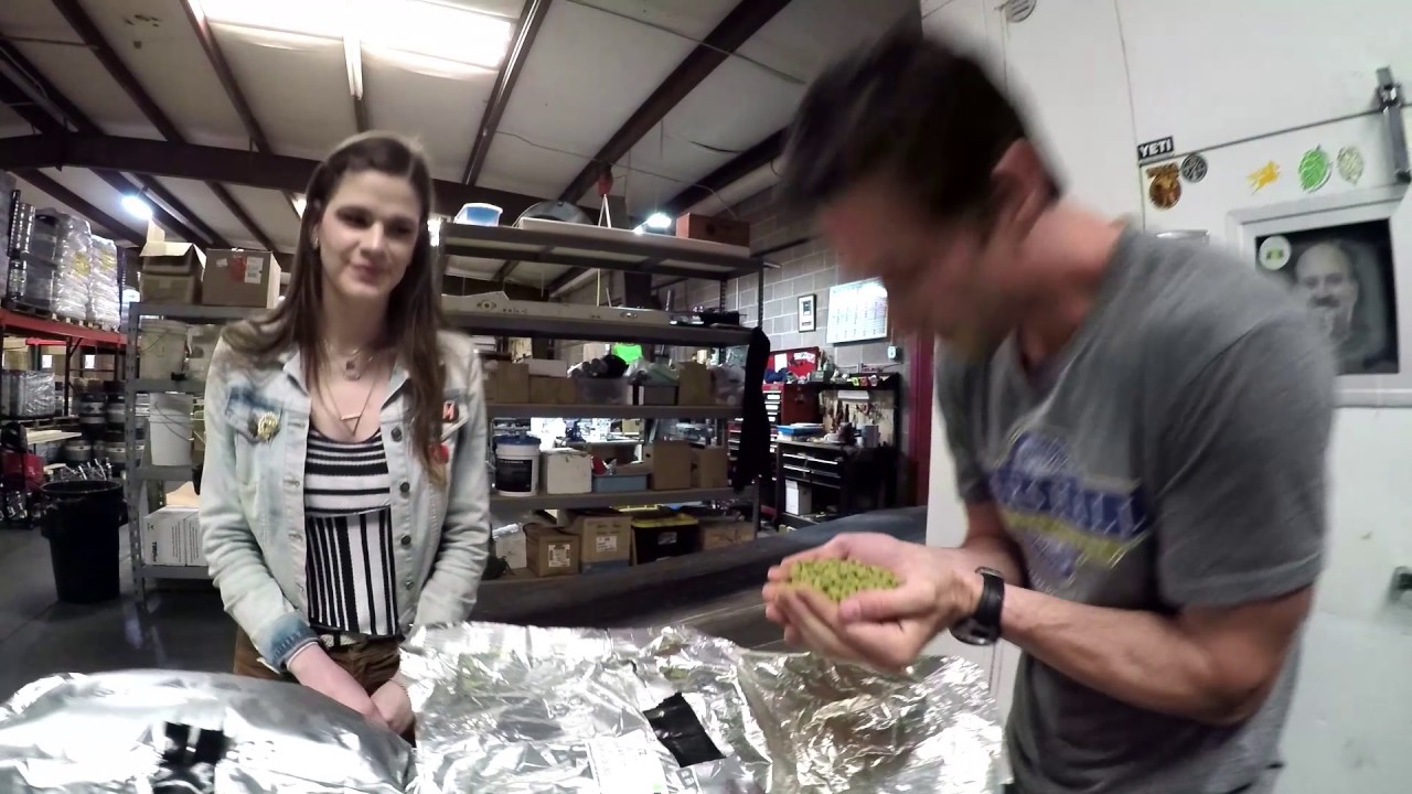Chemistry department to offer Certificate of Brewing Lab Science - YouTube