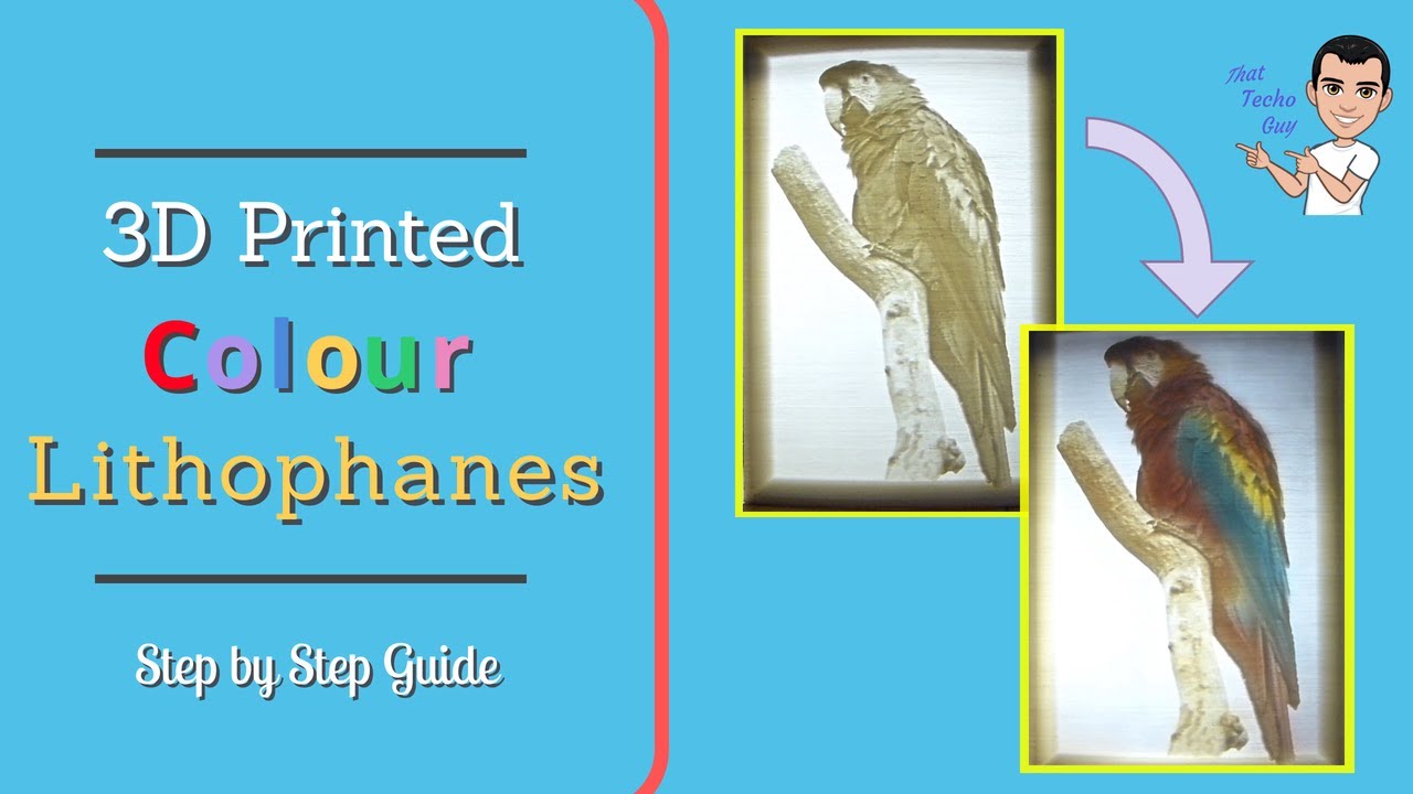 DIY 3D Printed COLOUR Lithophanes || A Step by Step Guide - YouTube