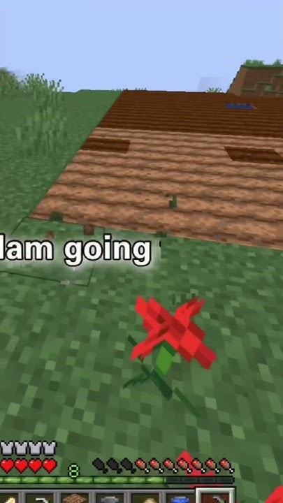 Minecraft Biggest Project Minecraft Shortsvideo Seeds Shorts Short Viral Youtube