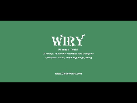 wiry: How to pronounce wiry with Phonetic and Examples