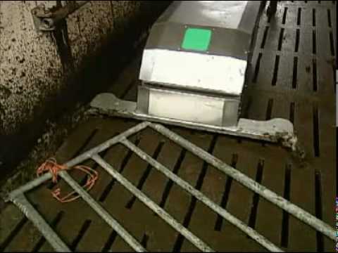 Robotic Scraper - YouTube