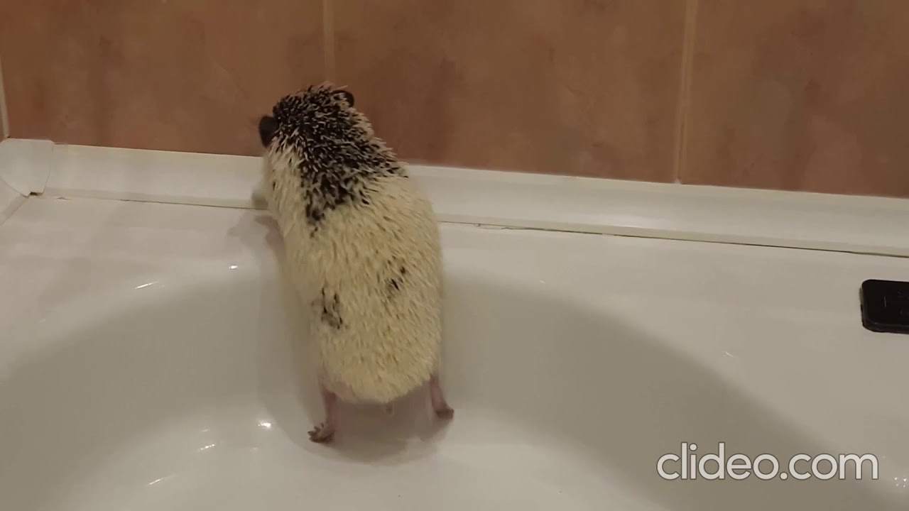 Redgie Being Funny And Cute In The Bathtub! - YouTube