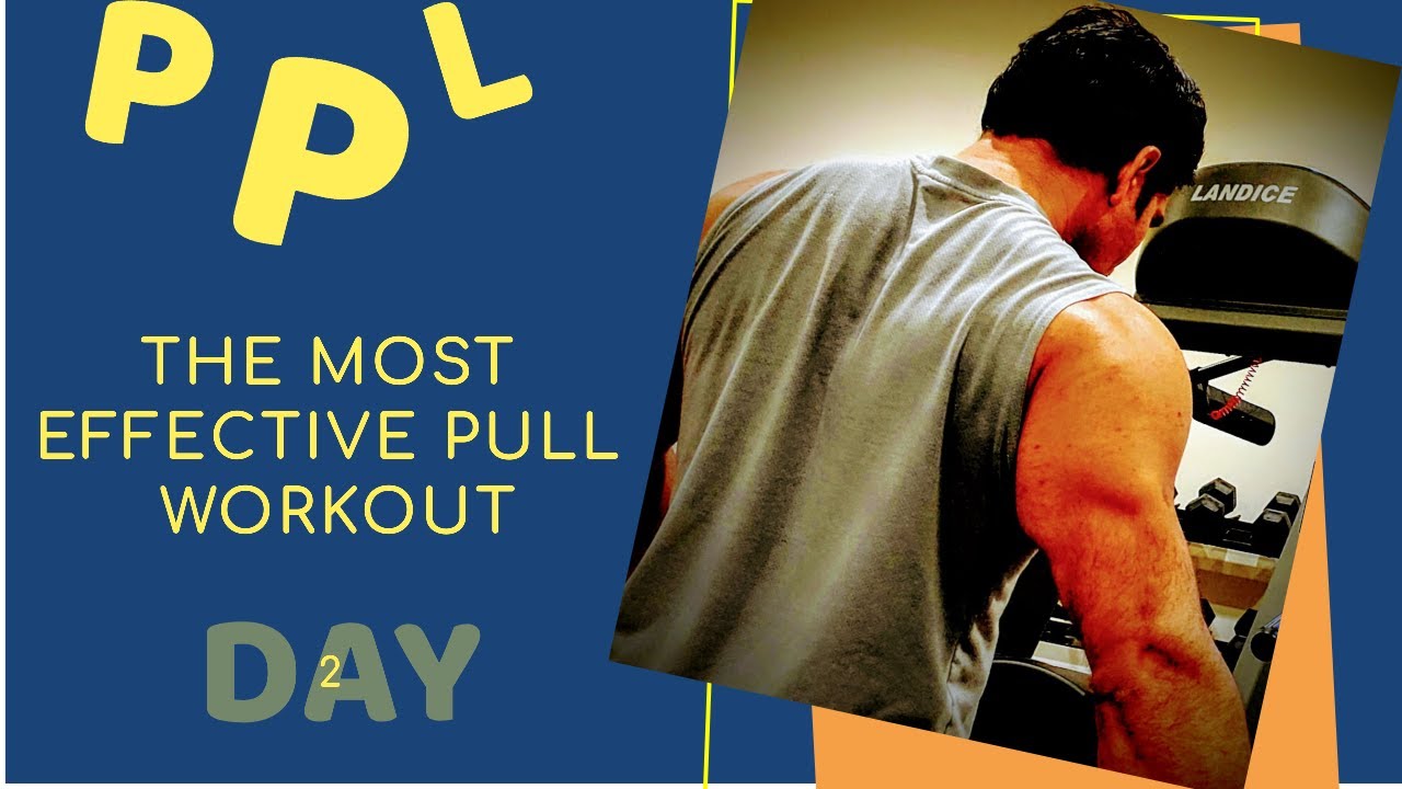 MOST EFFECTIVE PULL WORKOUT[DAY-2 , 6 EXERCISES]|PPL WORKOUT DAY 2 ...