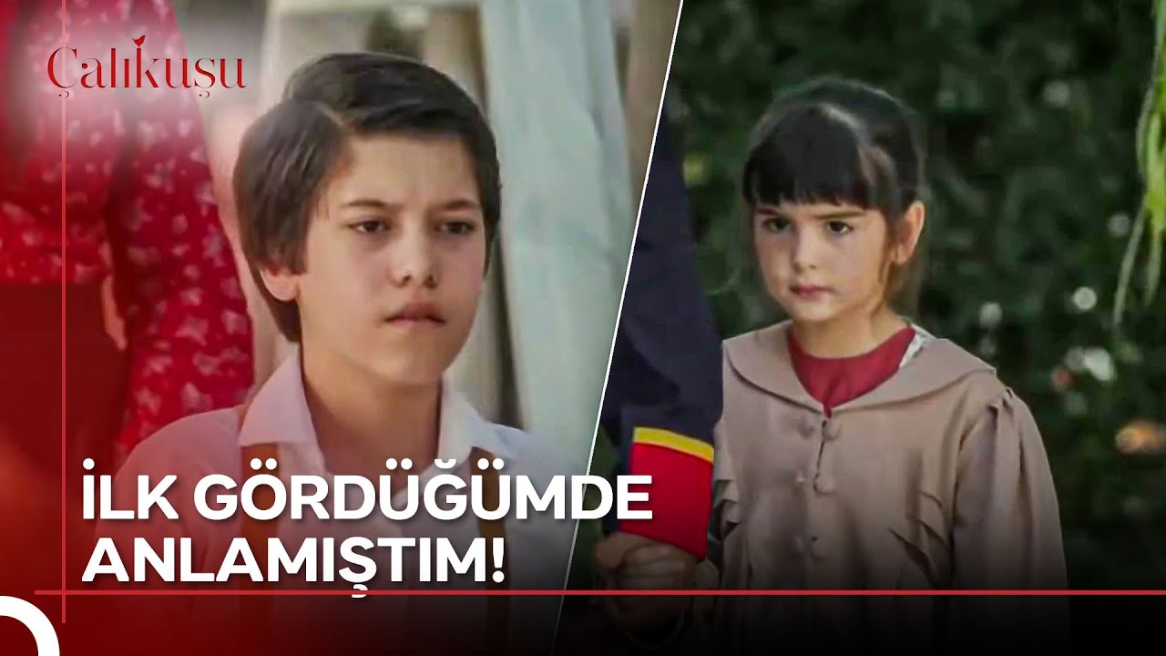 Kamran'ın Gözünden Feride... | Çalıkuşu - YouTube