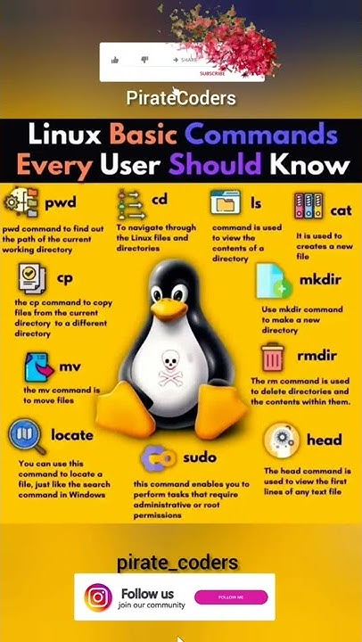 Basic Linux Commands - YouTube