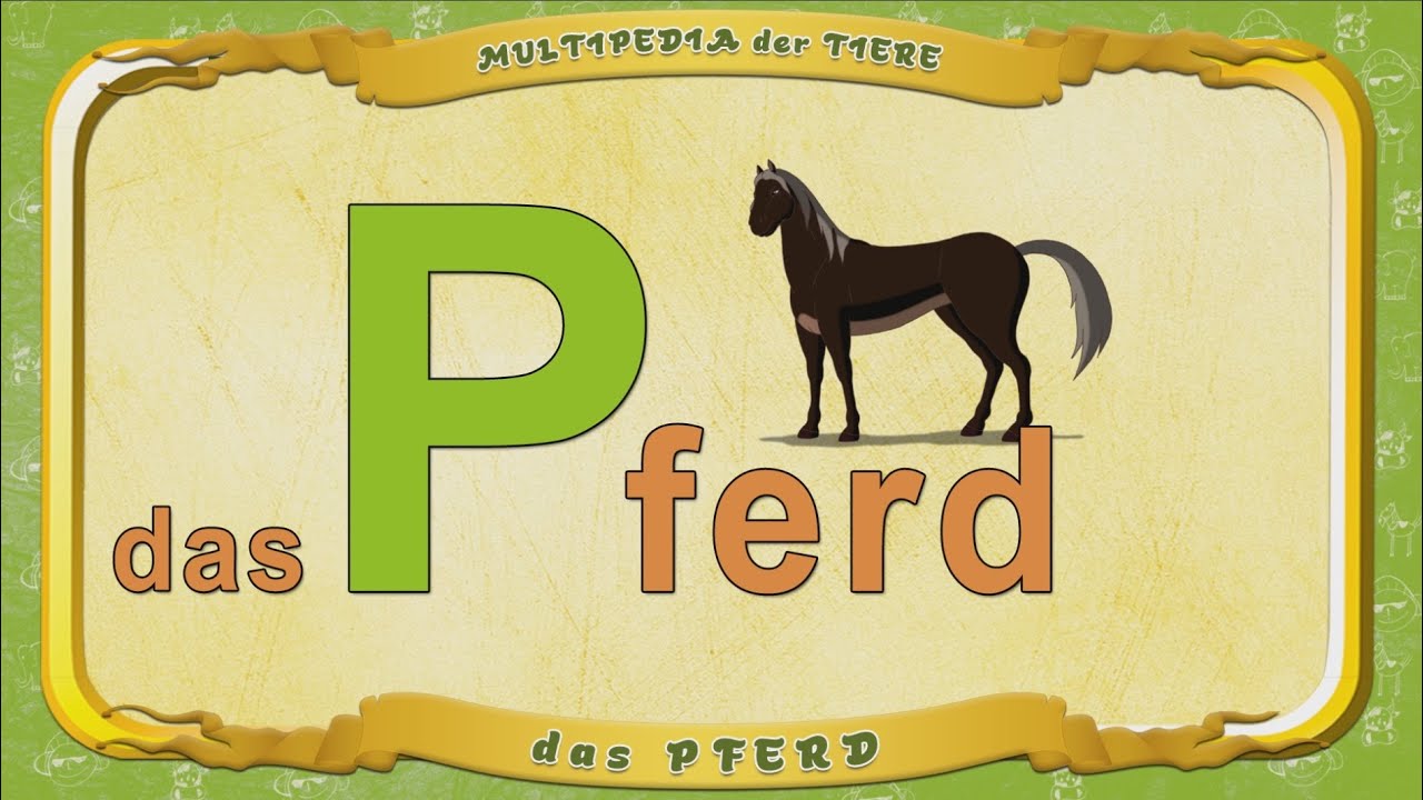 Multipedia der Tiere Buchstabe. P - das Pferd - YouTube