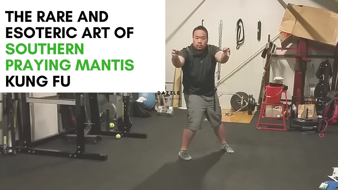 Southern Praying Mantis Kung Fu Journey 江西竹林南派螳螂 - YouTube