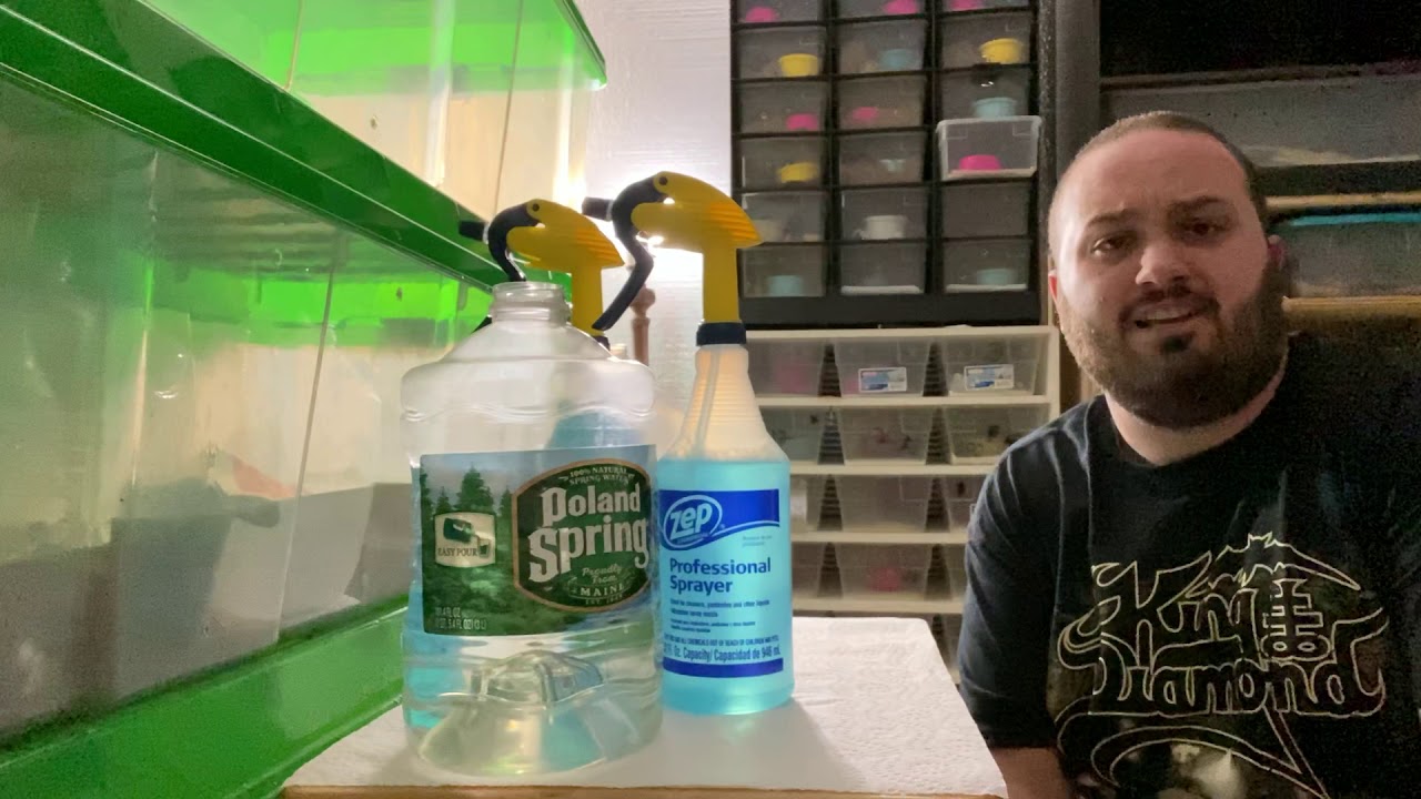Bonus Tip 1- Chlorhexidine, my snake cage cleaner of choice - YouTube