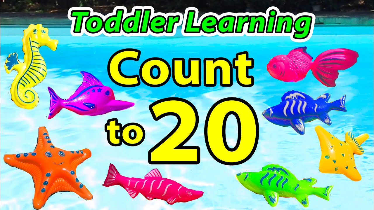 Learn to Count to 20 Sea Animals Educational Videos for Kids ...