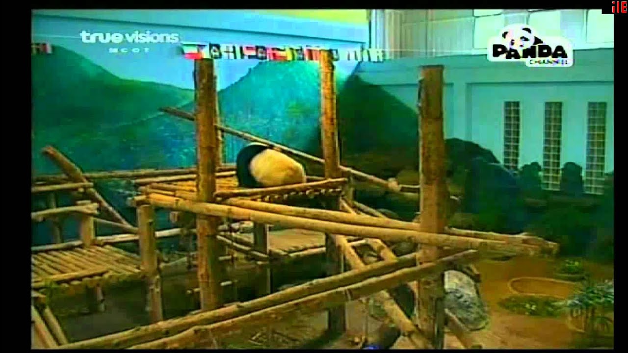 Lin Ping 2012-07-03 14-58-08-35.avi - YouTube