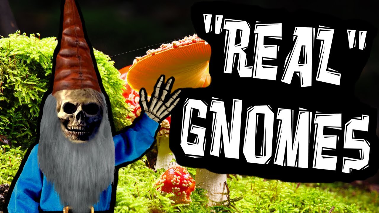 Terrifying Gnome Encounters - Unsettling Stories That Will Shock You ...