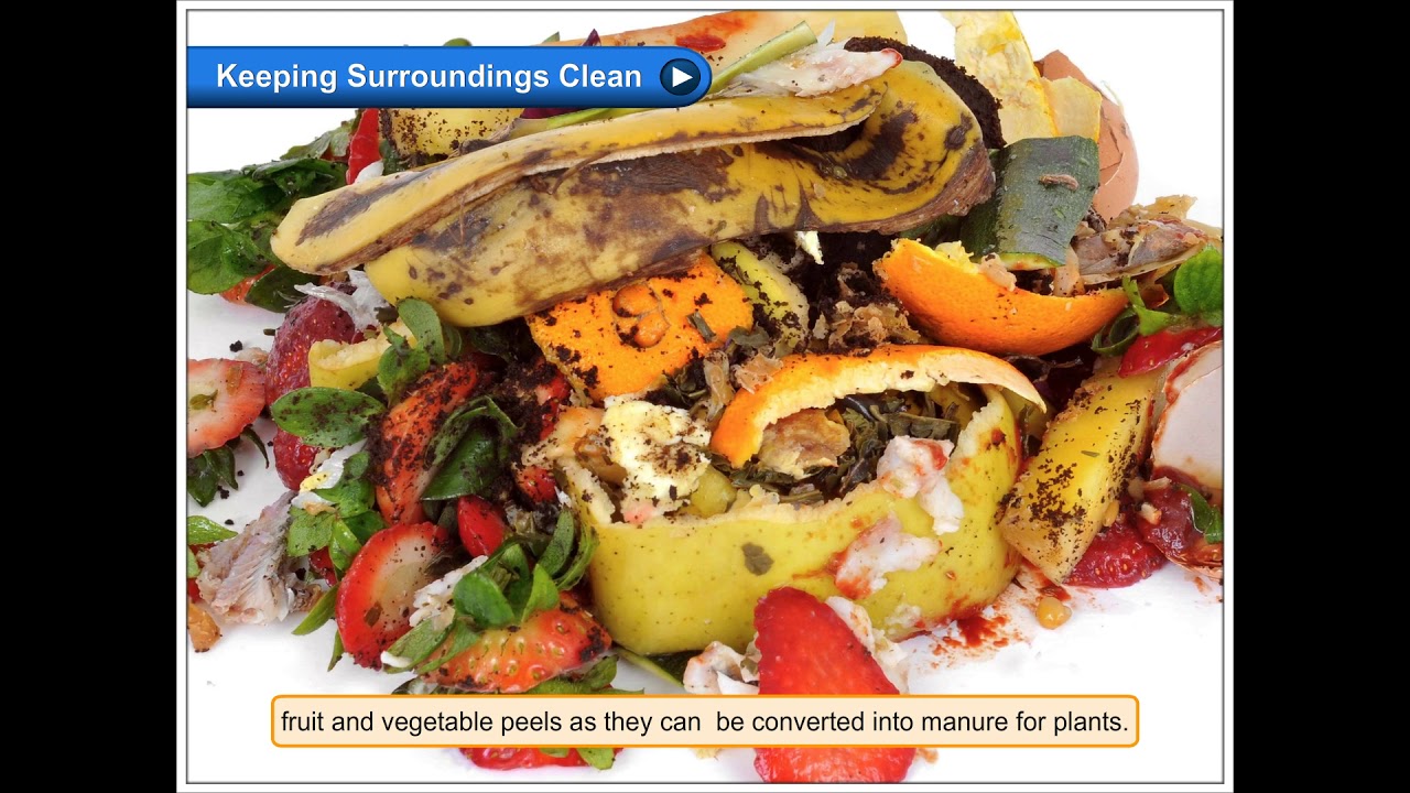 Keeping Surroundings Clean | Class 2 - YouTube