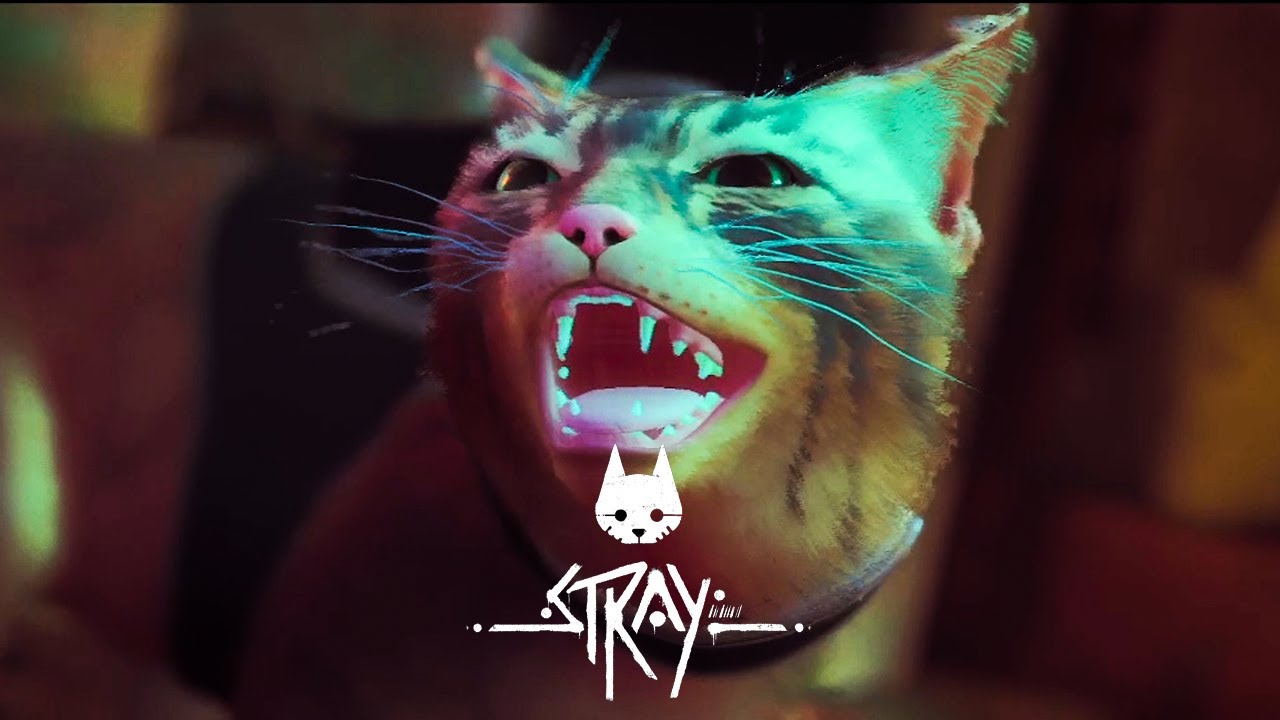 Stone cold city | Let’s Play Stray Part 5 - YouTube