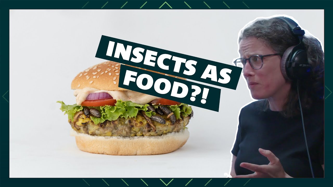 Should I eat insects from my garden? | The Changemaker Podcast EP1 ...