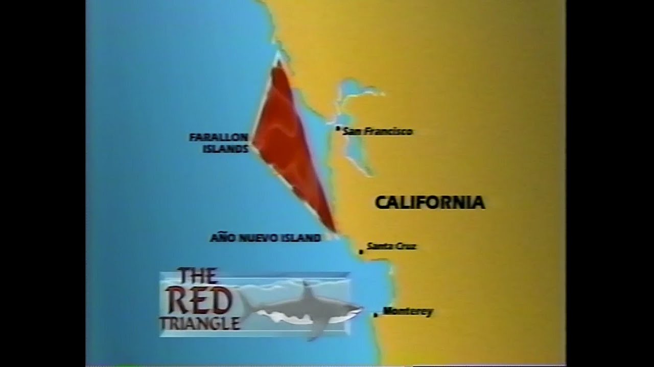 Sharks of the Red Triangle (1995) - YouTube