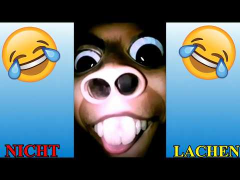 VERSUCHE NICHT ZU LACHEN !!! 🤣🤣🤣 #90