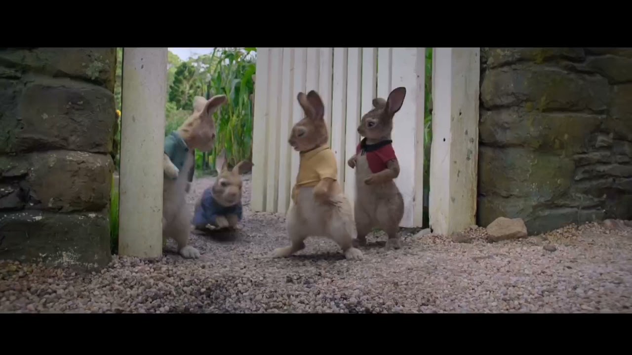 Rabbit movies trailer full Comedy Video HD - YouTube
