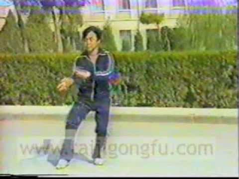 Chen Zhaokui Taiji Quan Student, Zhang Jianqun Yilu #1