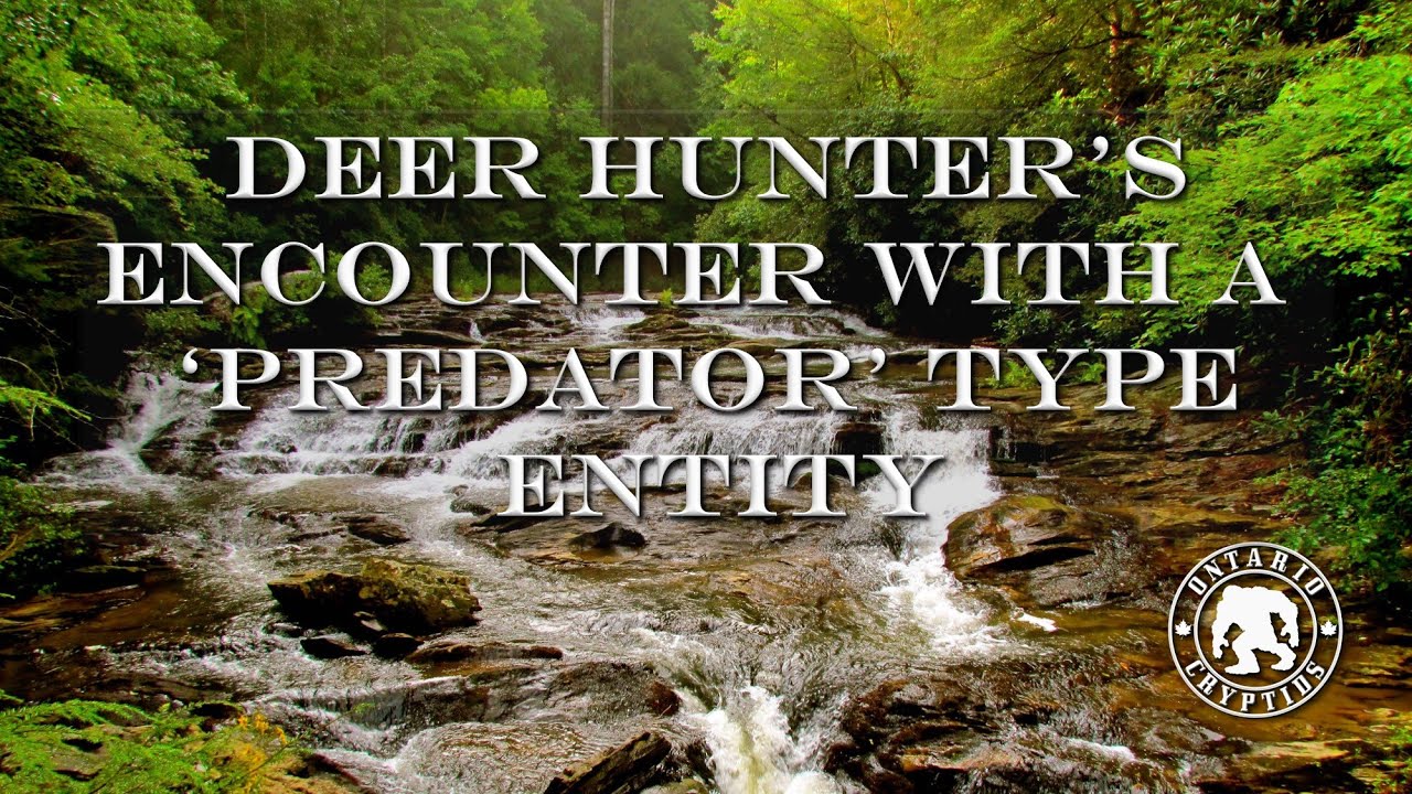 Deer Hunter's Encounter With A 'Predator' Type Entity [EP-134] - YouTube