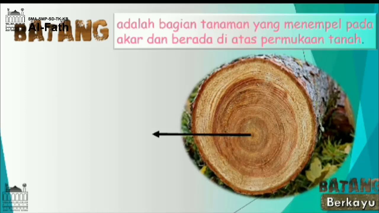 IPA | Jenis Daun, Batang dan Akar | Grade 4 | SD Al-Fath BSD - YouTube