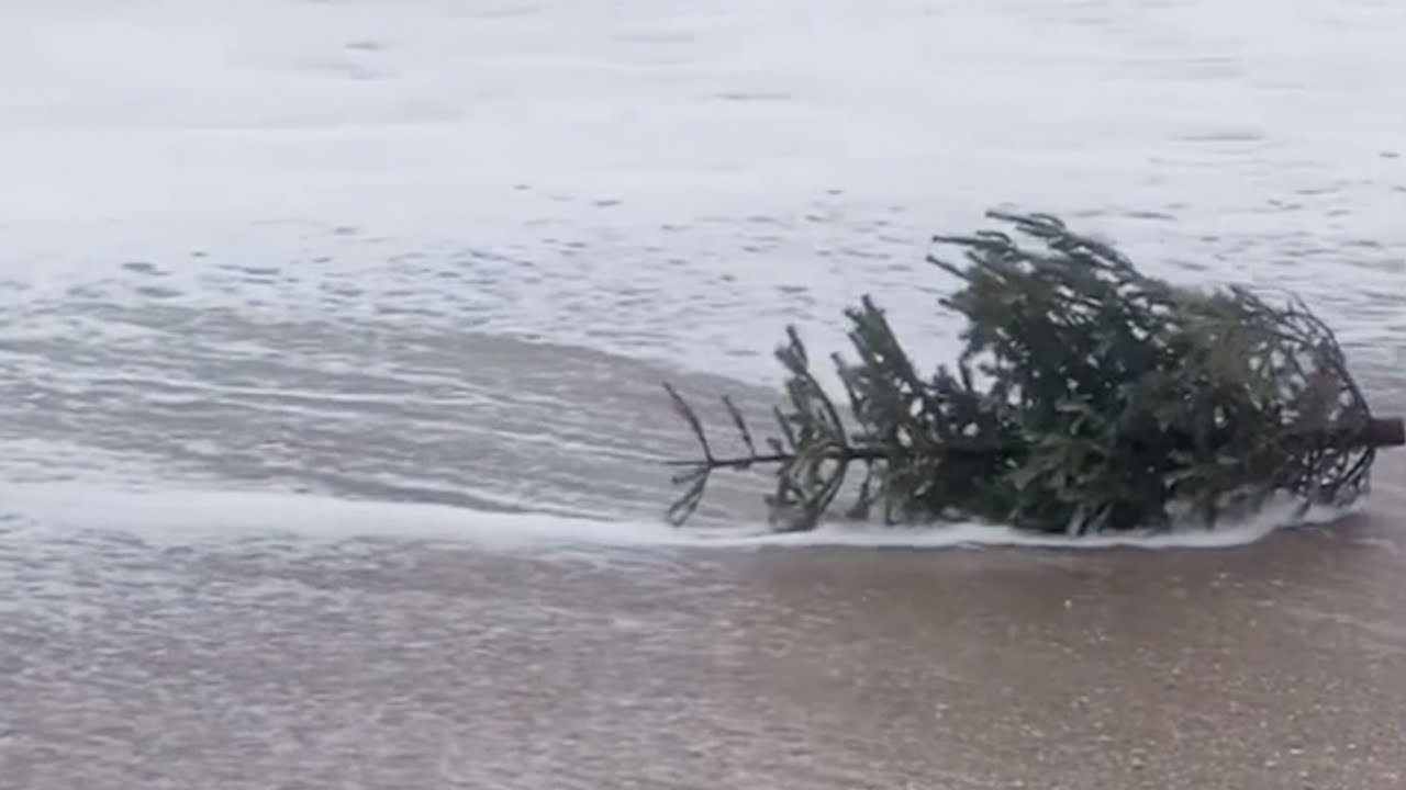 Lola (Experimental Visual Poem) | BCA EXHIBITION - YouTube