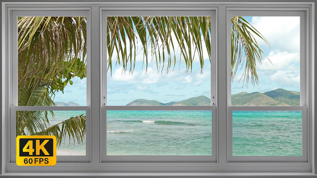 4K Tropical Beach window view in the Caribbean - Palm Trees, Ocean ...