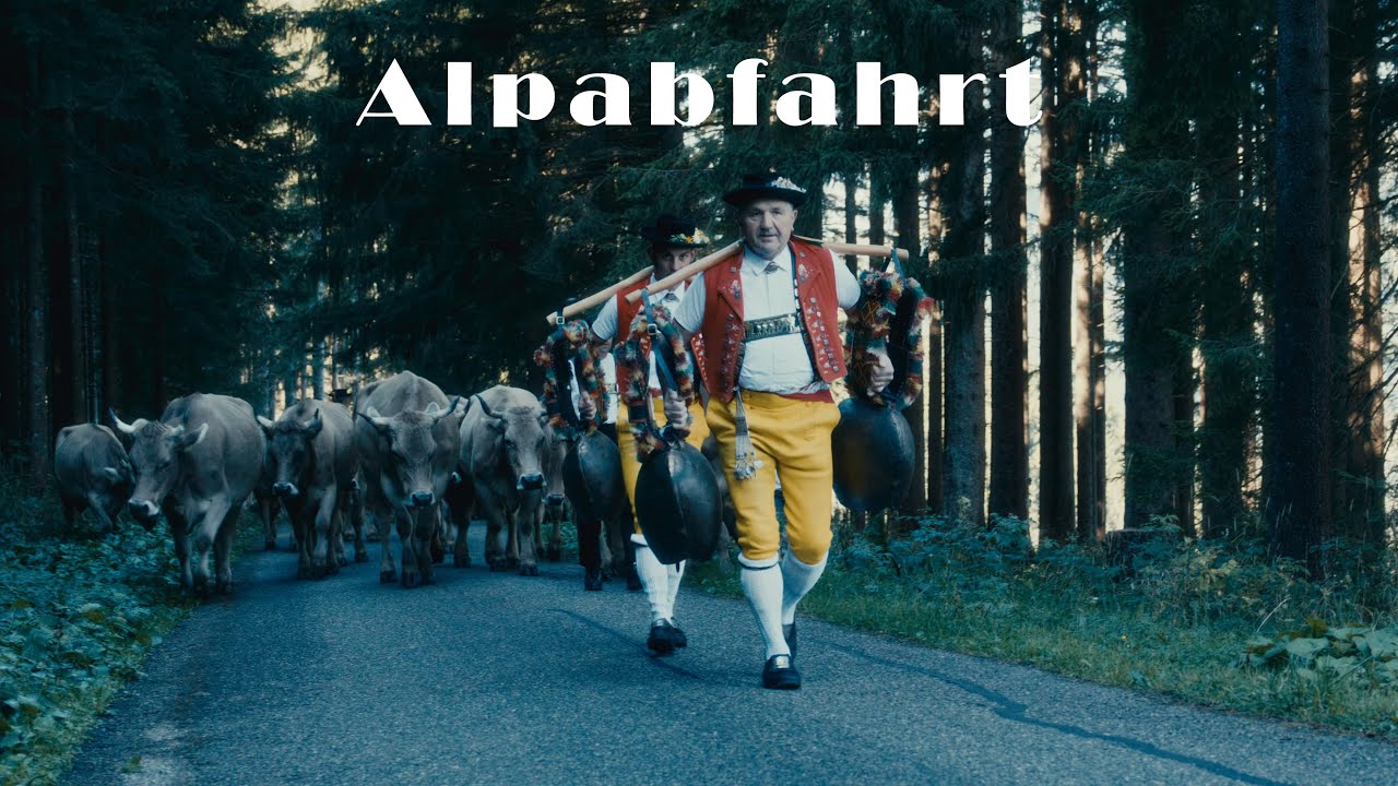 Alpabfahrt || Appenzell || RED KOMODO X - YouTube
