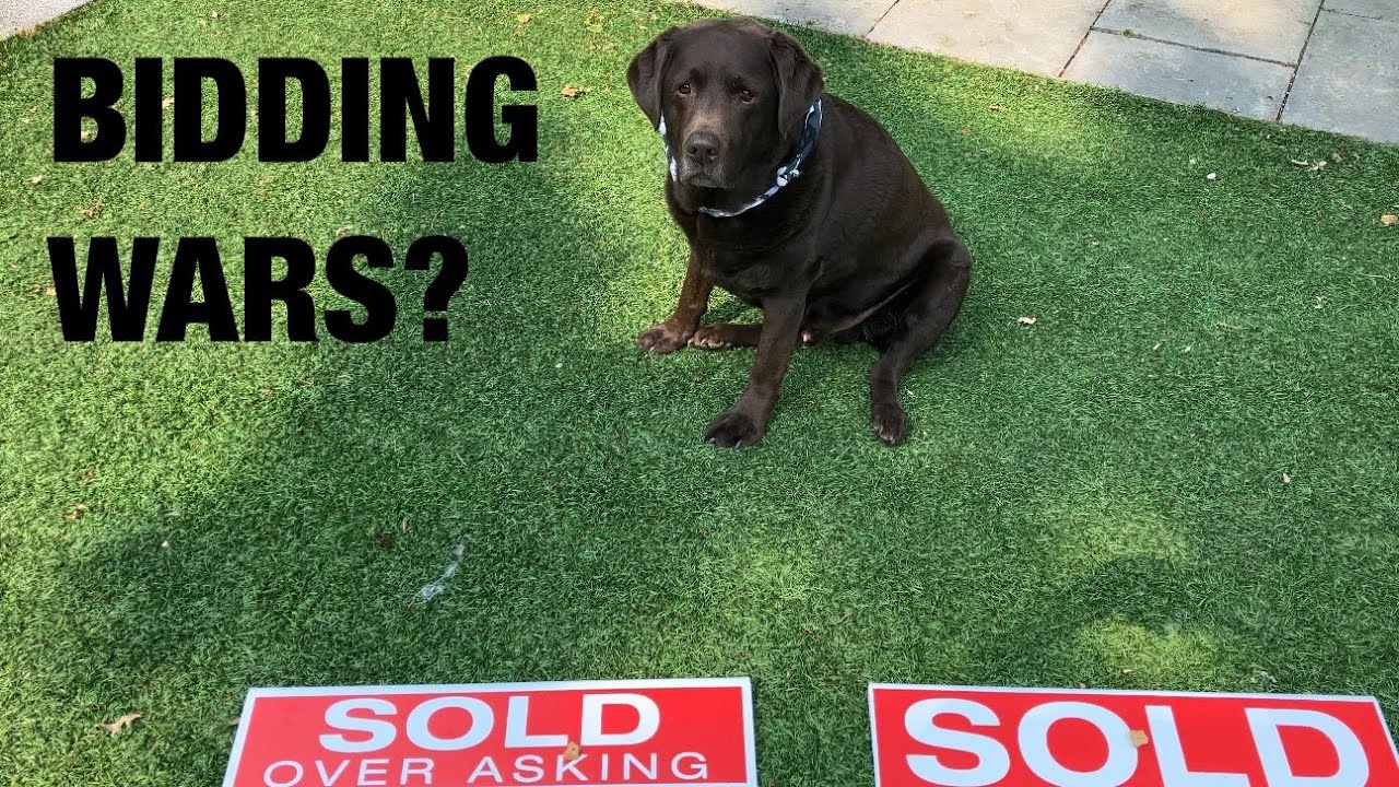 Are Bidding Wars Back Did They Ever Go Away Inventory For The 2 Week are-bidding-wars-back-did-they-ever-go-away-inventory-for-the-2-week