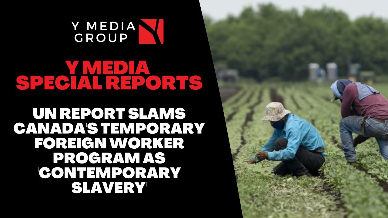 UN REPORT SLAMS CANADA'S TEMPORARY FOREIGN WORKER PROGRAM AS 'CONTEMPORARY SLAVERY' - YouTube
