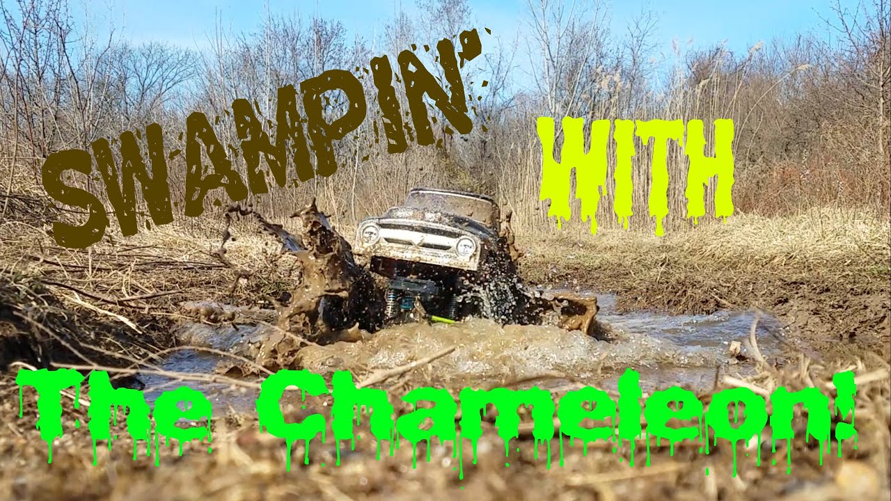 Swampin' with "ODB" AKA The Chameleon - YouTube