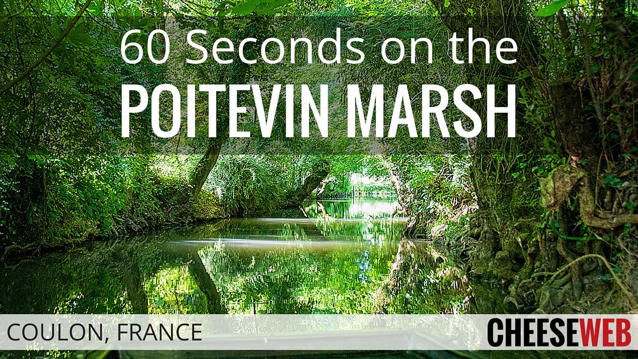 60 Seconds on the Poitevin Marsh in Coulon, France - YouTube