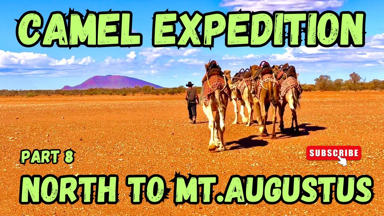 Camel Expedition Part 8. North to Mount Augustus. - YouTube