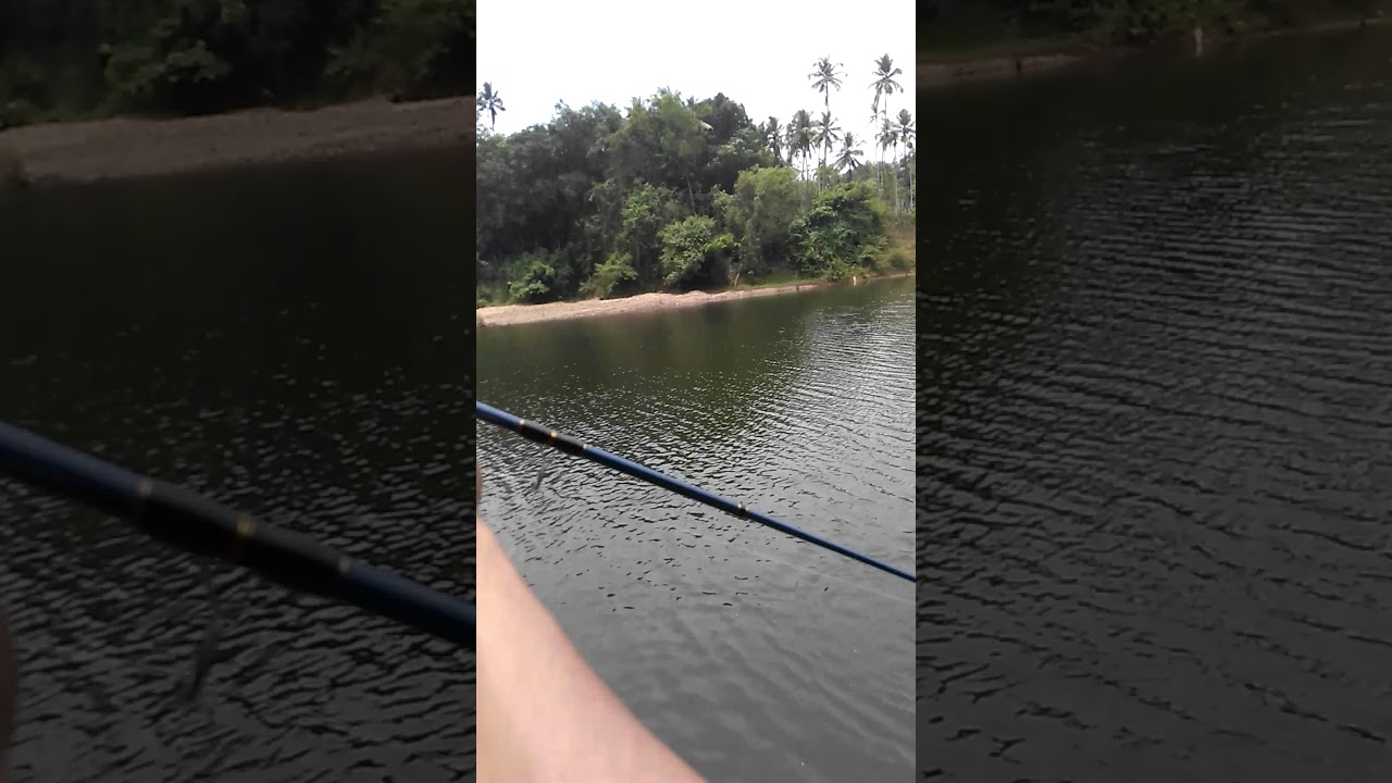 Fishing in iritty river - YouTube