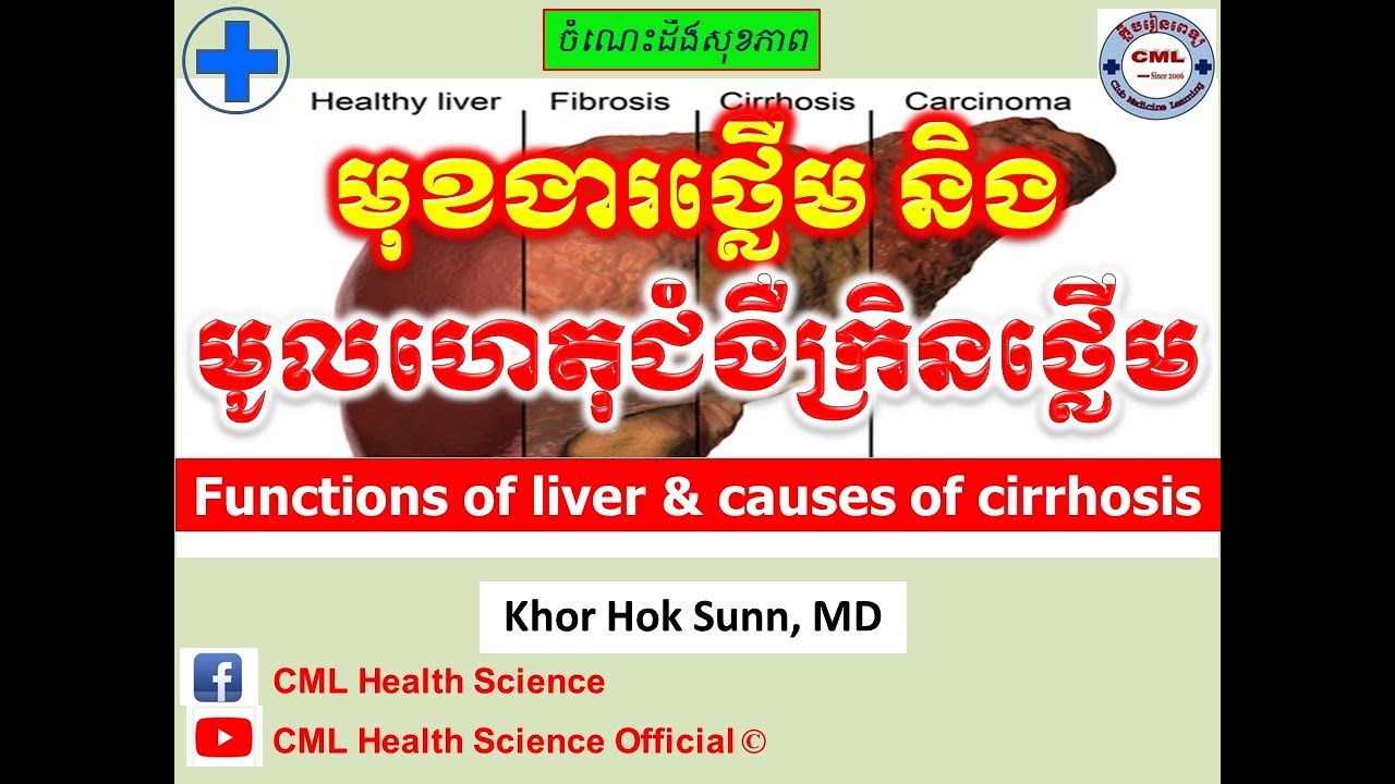 មុខងារថ្លើម និងមូលហេតុជំងឺក្រិនថ្លើម/Functions of liver & causes of ...