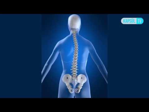 Her Bacak Ağrısı Bel Fıtığı Belirtisi Midir?
